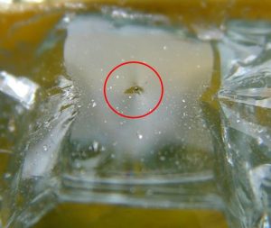 Spontaneous Breakage of Thermally Toughened Glass | GT Glass